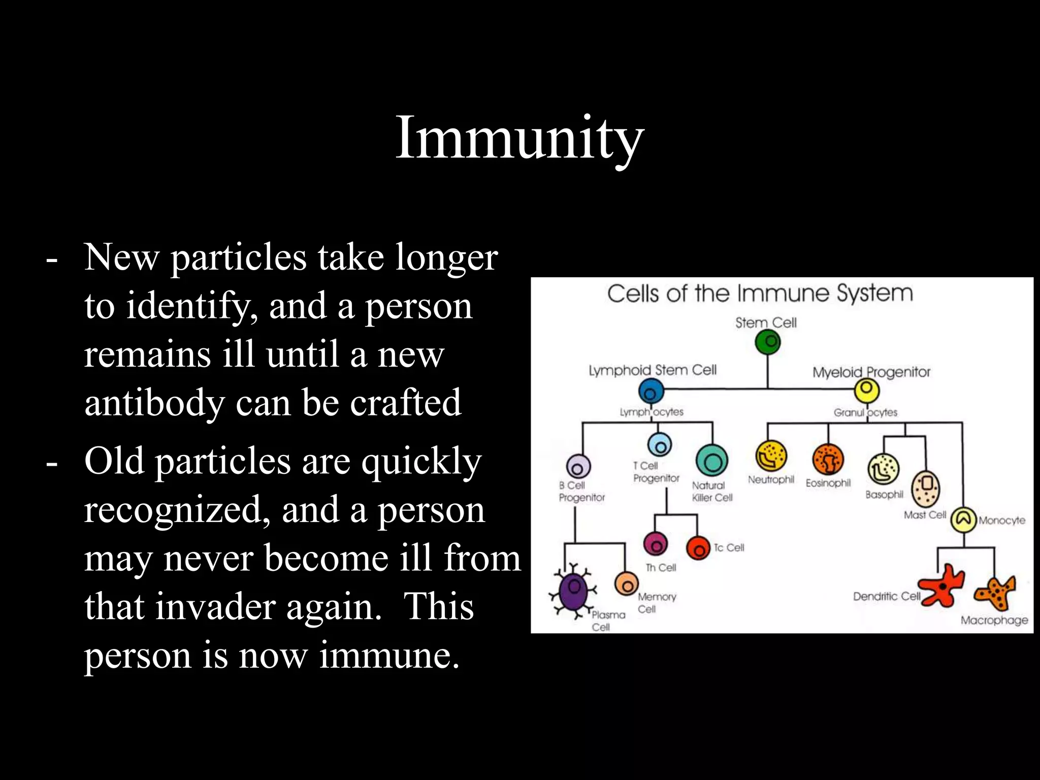 The Human Immune System.ppt