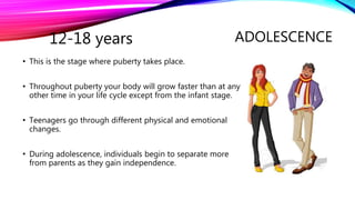 The human life cycle | PPTX