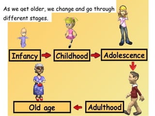 The human life cycle | PPT