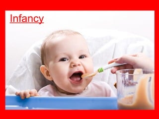 The human life cycle | PPT