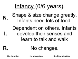 The human life cycle | PPT