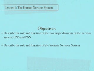 The human nervous system | PDF