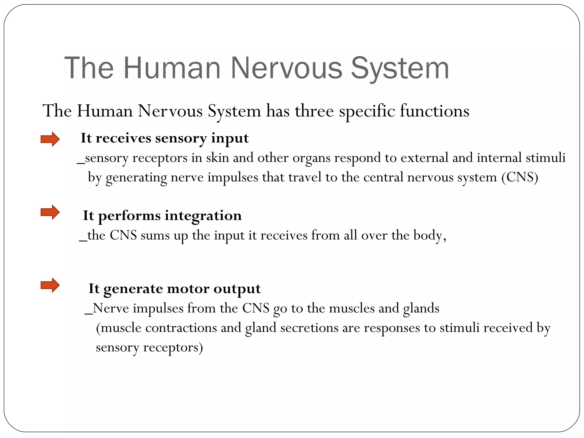 The human nervous system and sense organ | PPT