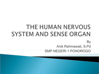 The human nervous system and sense organ | PPT