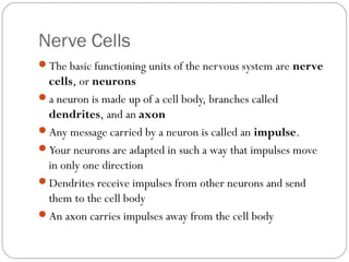 The human nervous system and sense organ | PPT