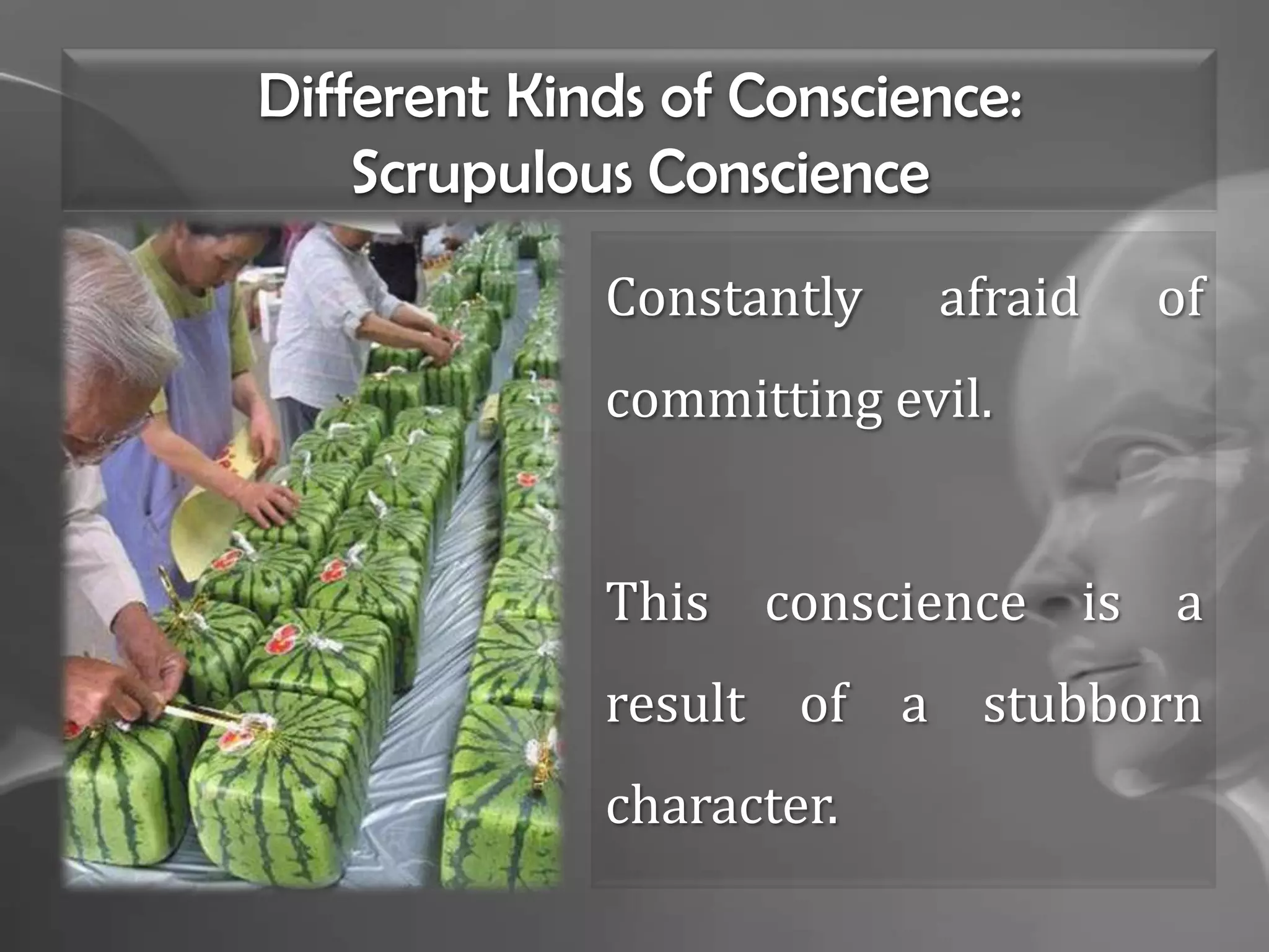 The Human Person | PPTX