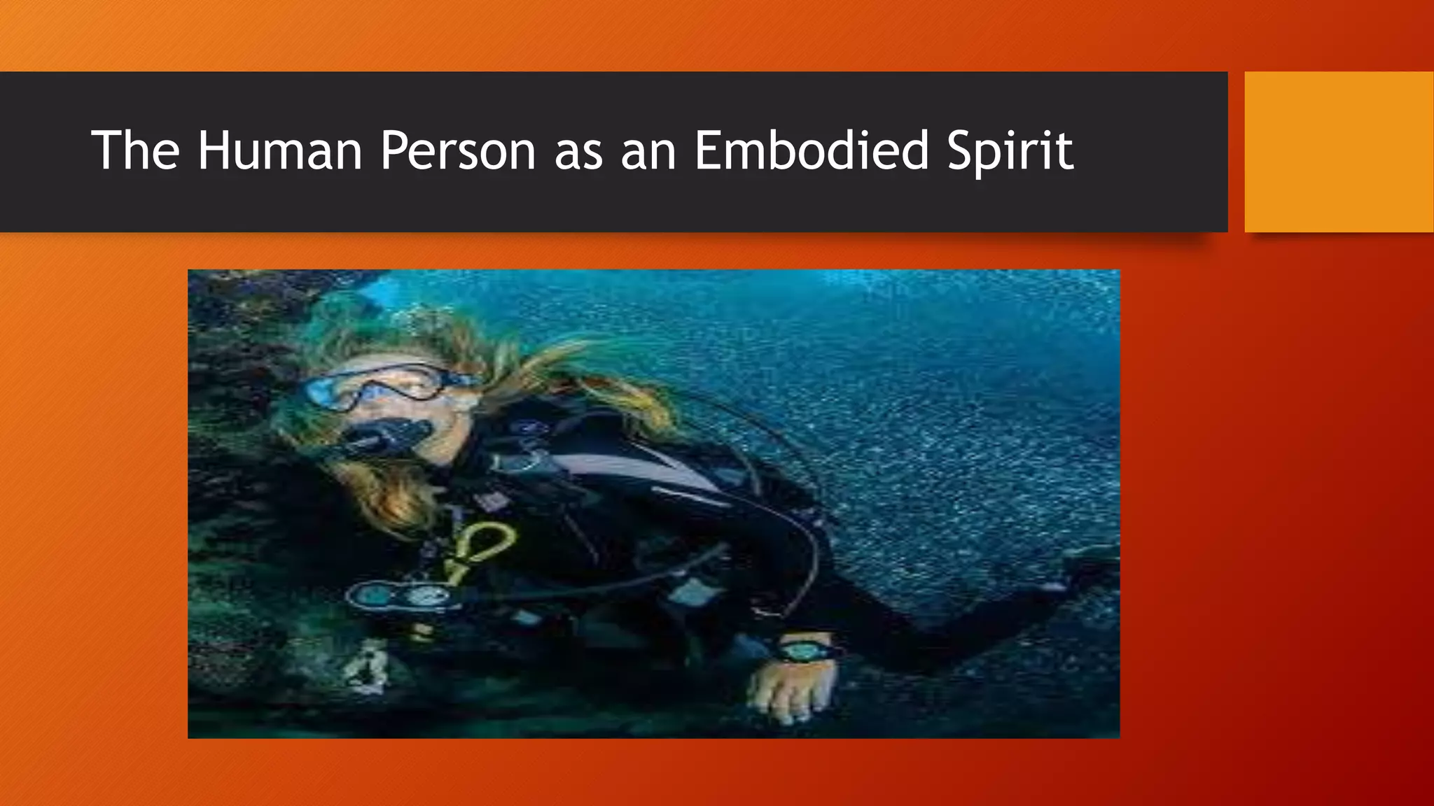 The Human Person as an Embodied Spirit | PPTX