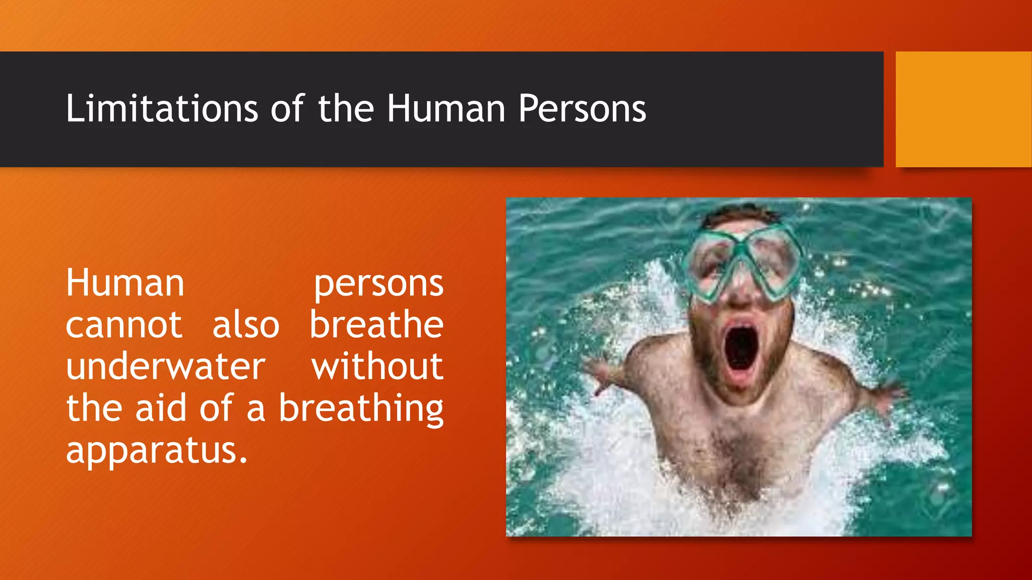 The Human Person as an Embodied Spirit | PPTX