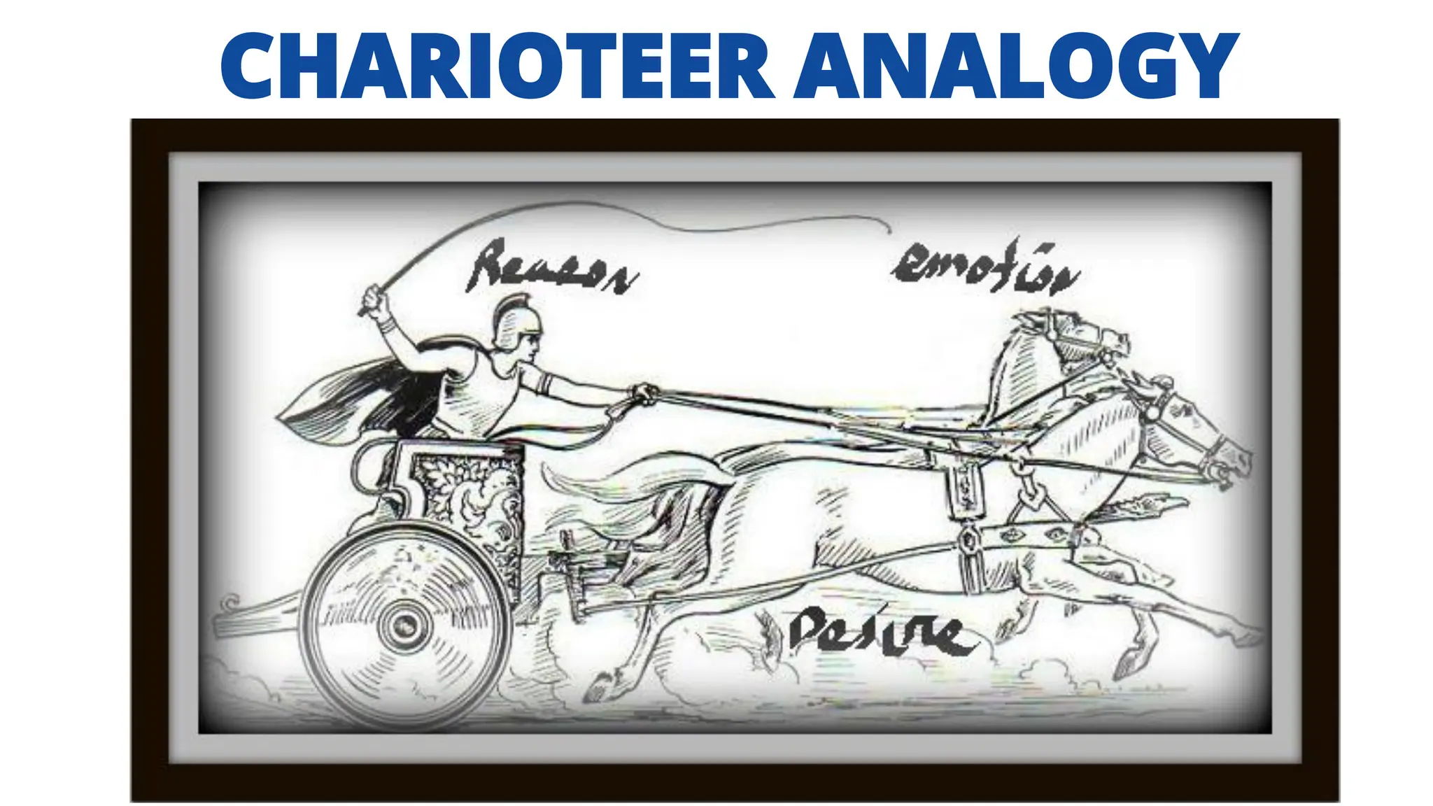 The Human Person as a Social Animal philosophy | PDF