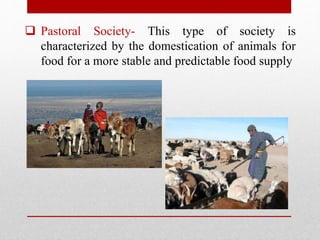 The_Human_Person_in_Society intro to philo | PPTX