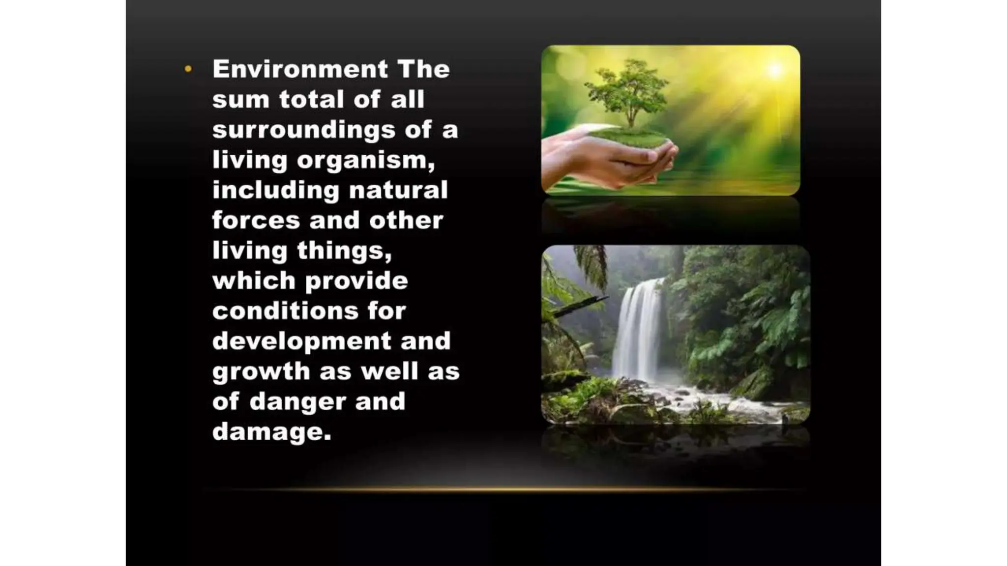 The Human Person in their Environment.pptx