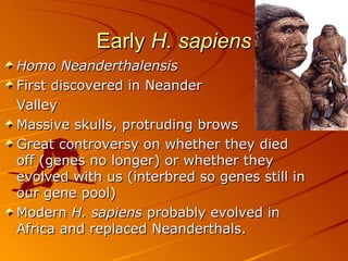 The human race origins | PPT