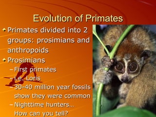 The human race origins | PPT