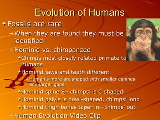 The human race origins | PPT