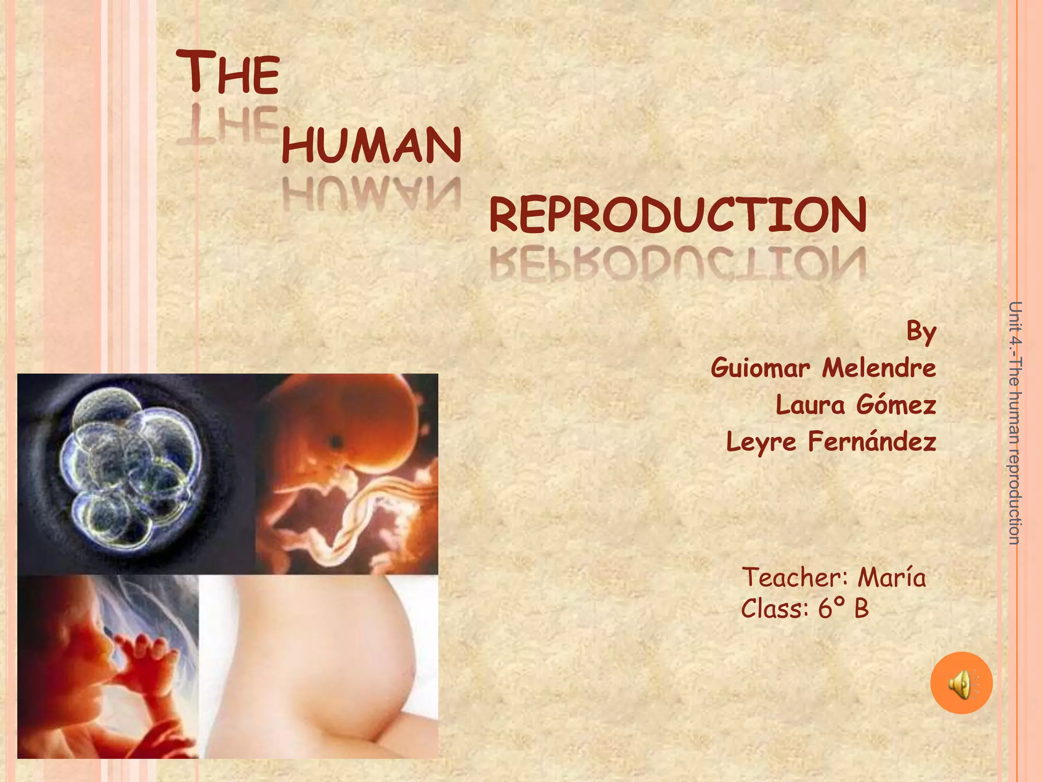 The human reproduction sound | PPTX | Pregnancy | Reproductive Health