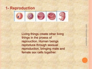 The human reproduction sound | PPTX | Pregnancy | Reproductive Health