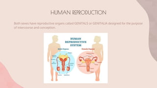 The Human Reproduction System.pptx
