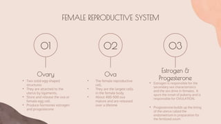 The Human Reproduction System.pptx