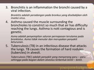 The human respiratory system | PPT