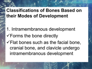 The human skeletal system | PDF