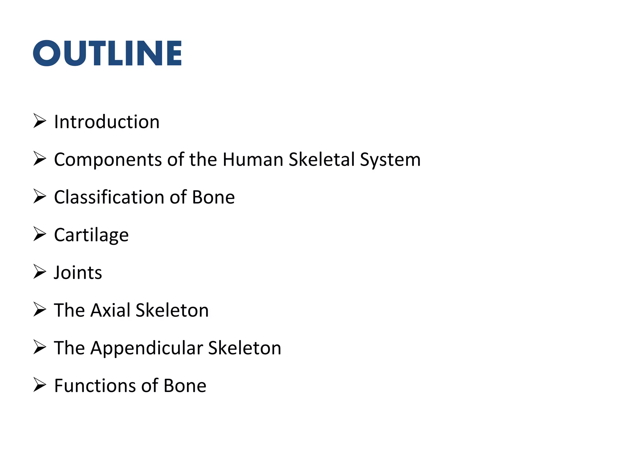 THE HUMAN SKELETAL SYSTEM.pptx