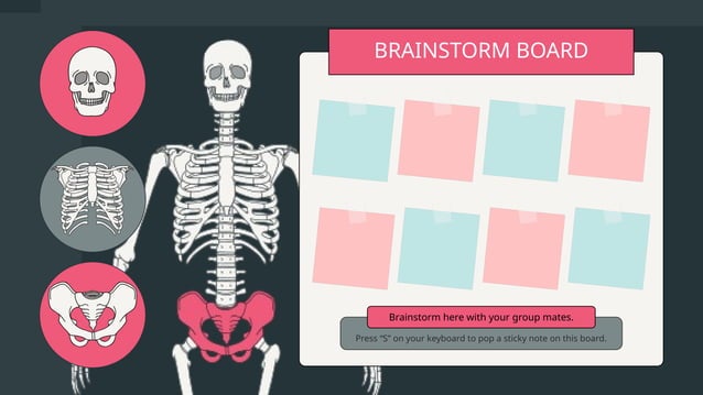 The Human Skeletal System Science Group Work.pptx