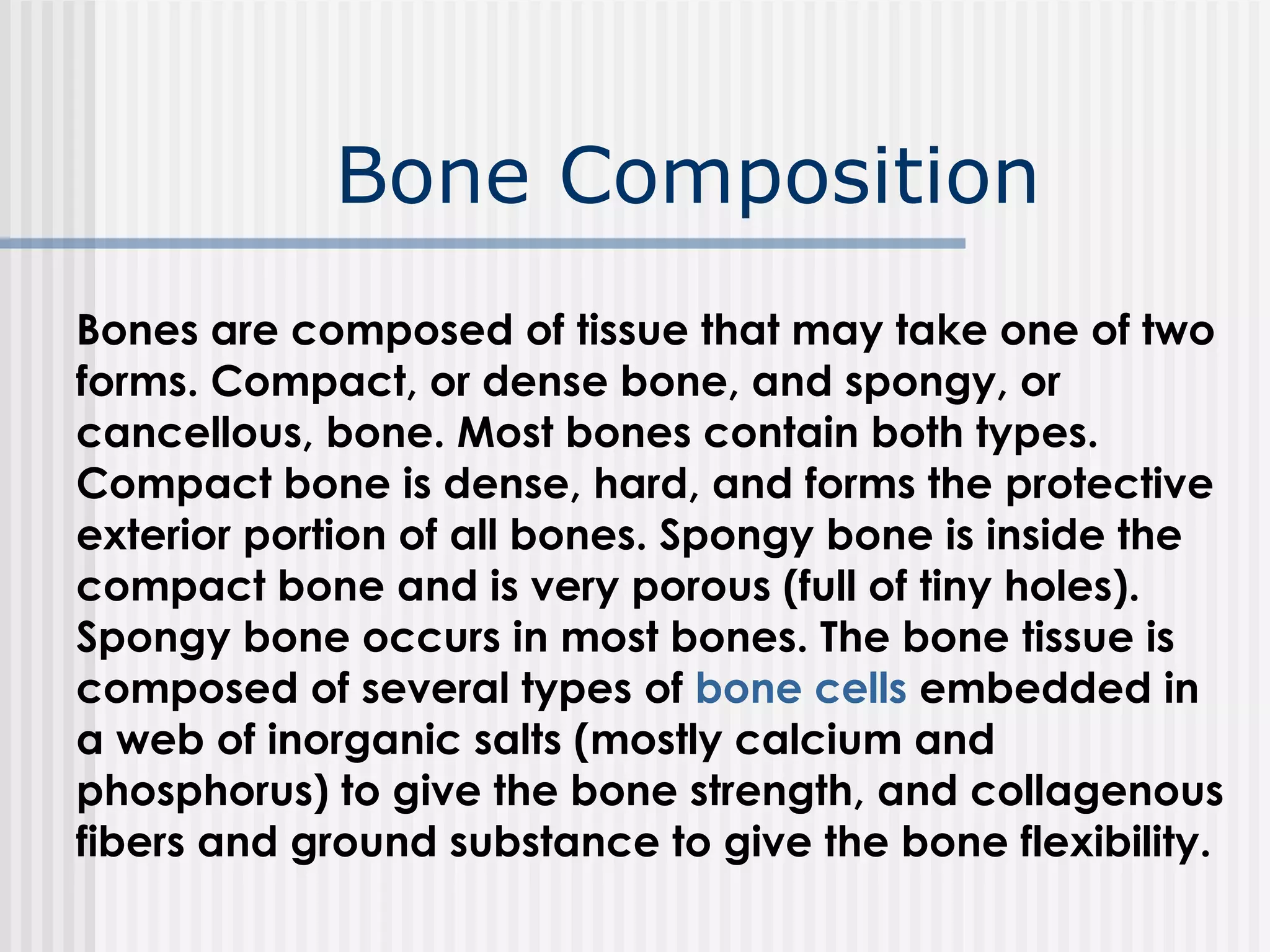 The human skeleton | PPT