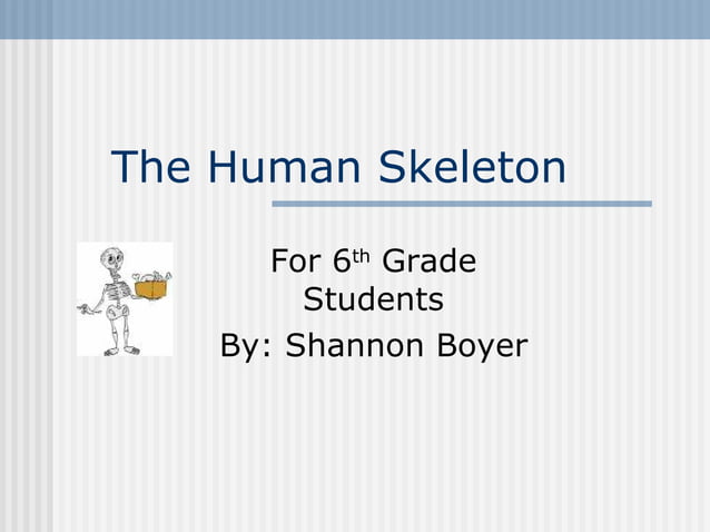 The human skeleton | PPT