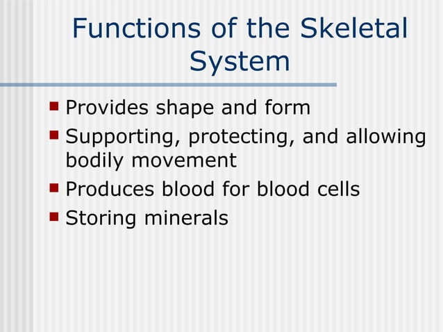 The human skeleton | PPT