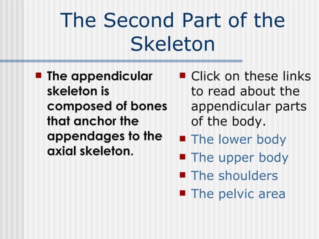 The human skeleton | PPT