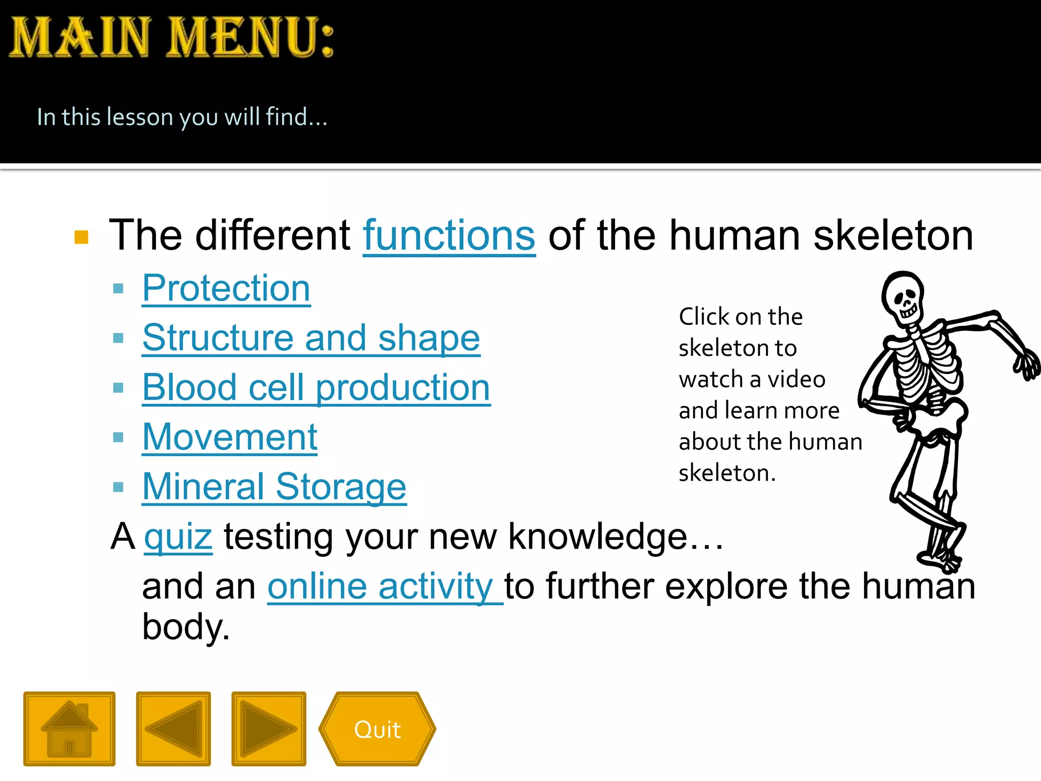 The Human Skeleton | PPTX