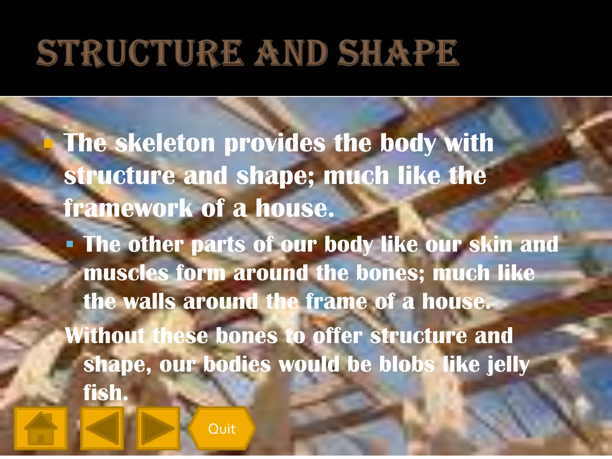 The Human Skeleton | PPTX