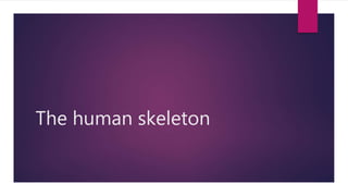 The human skeleton | PPT