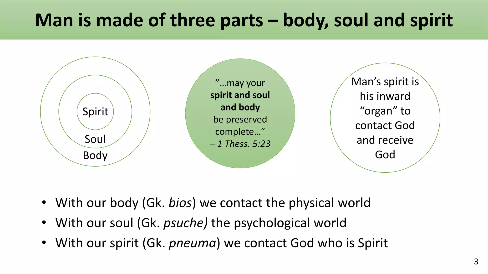 The Human Spirit | PPT