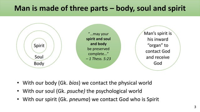 The Human Spirit | PPT