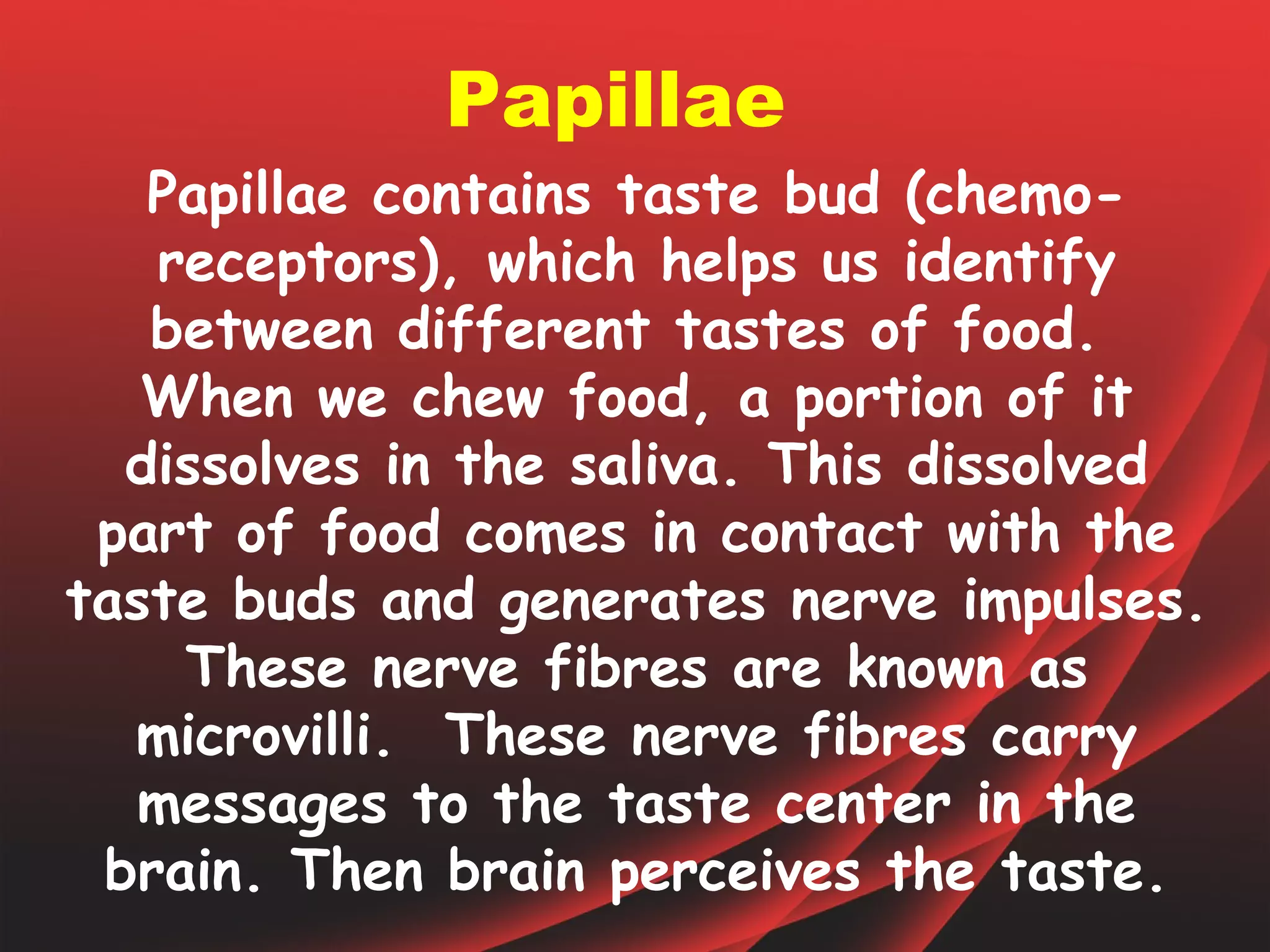The human tongue | PPT