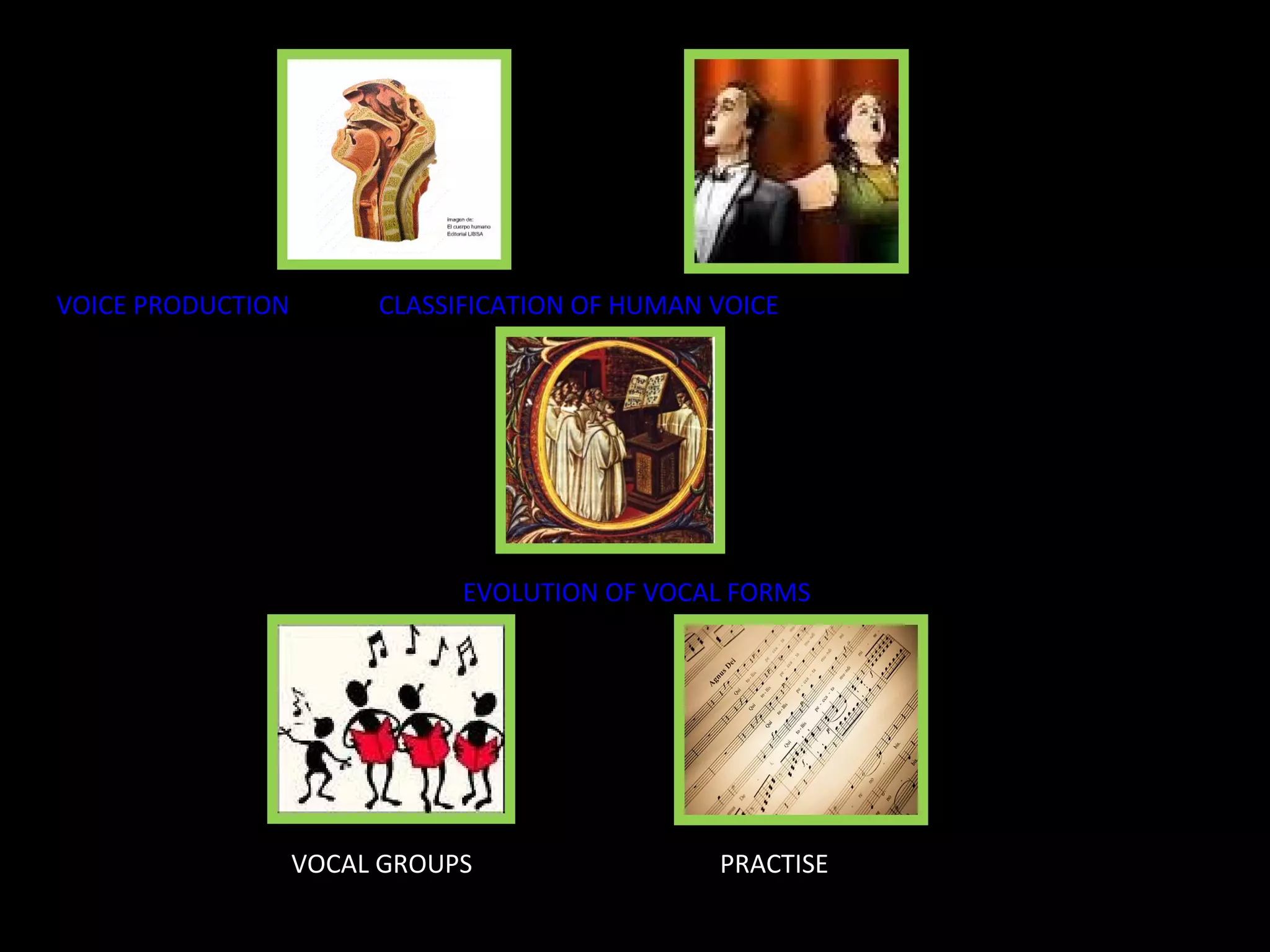 The human voice | PPT