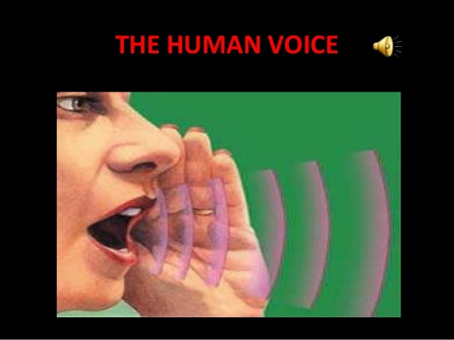 The human voice