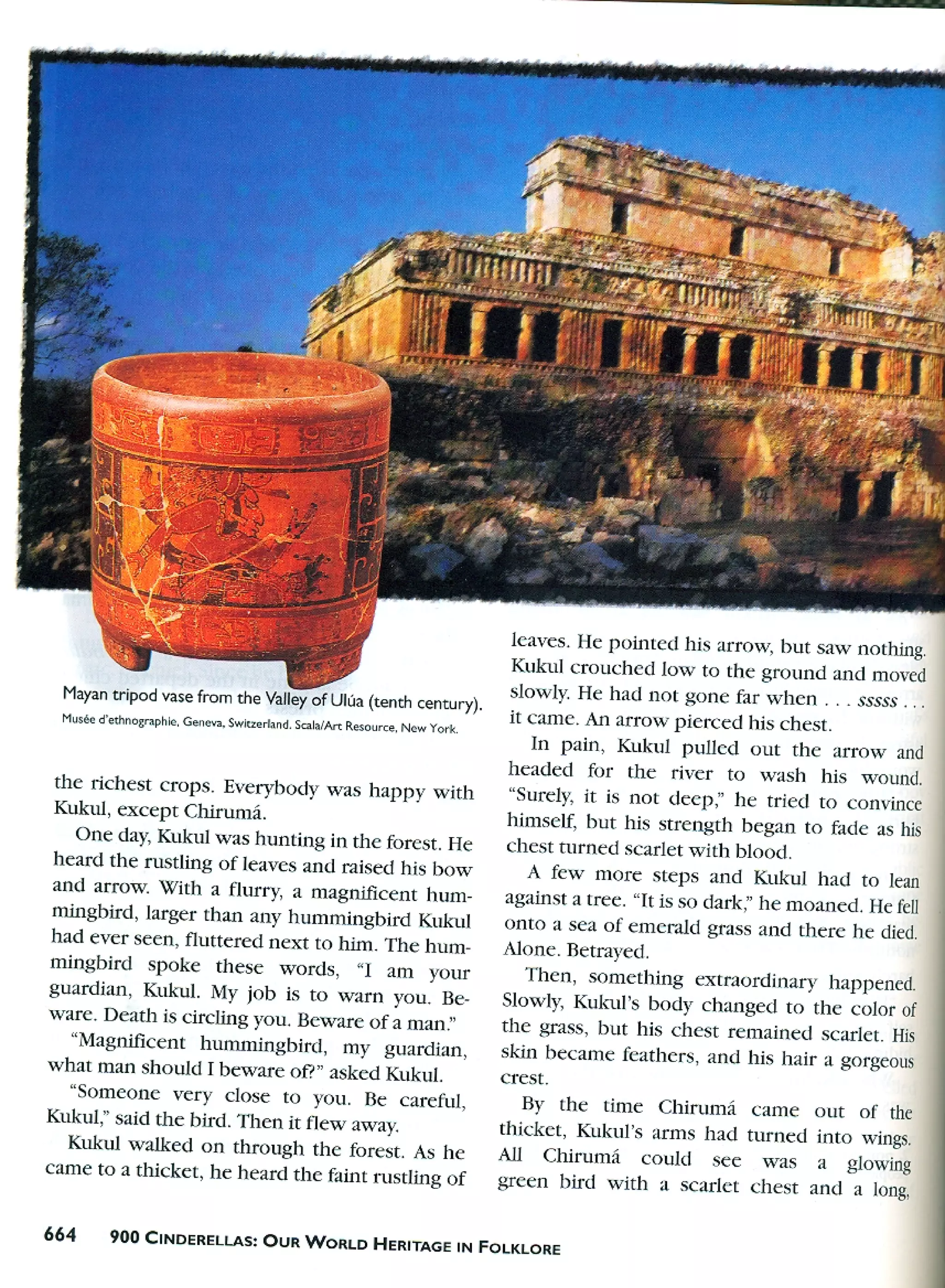 The hummingbird king | PDF | Birdwatching | Hobbies & Interests