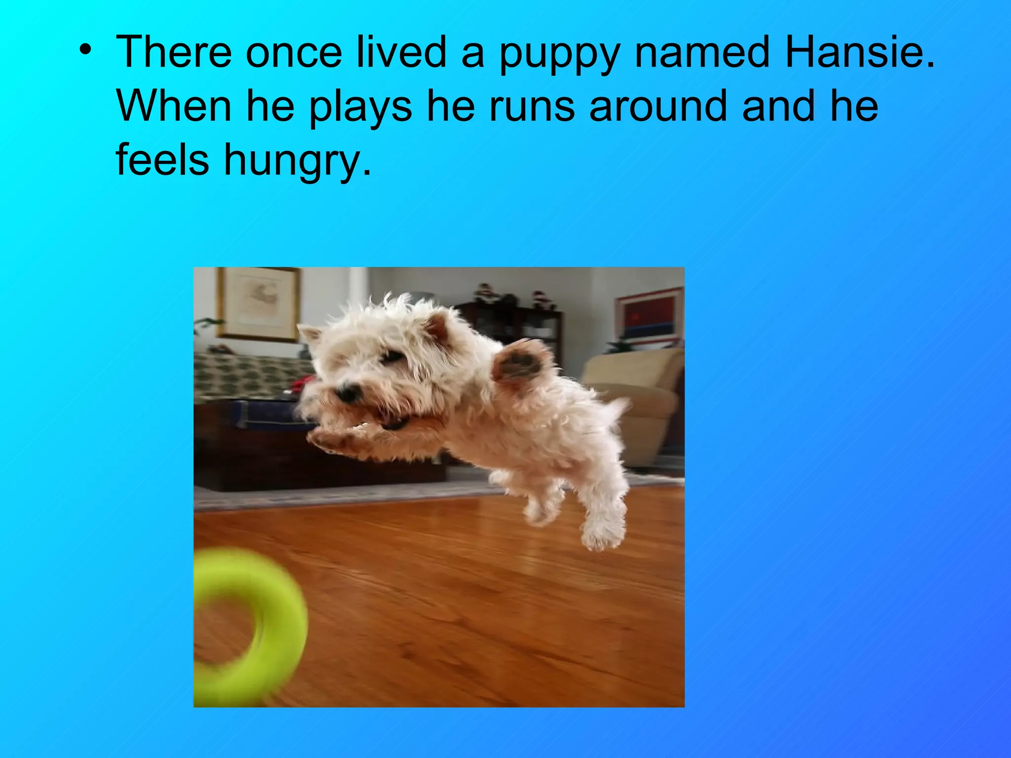 The Hungry Puppy | PPT