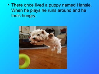 The Hungry Puppy | PPT