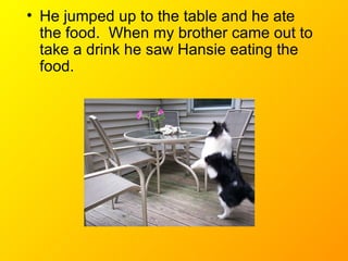 The Hungry Puppy | PPT