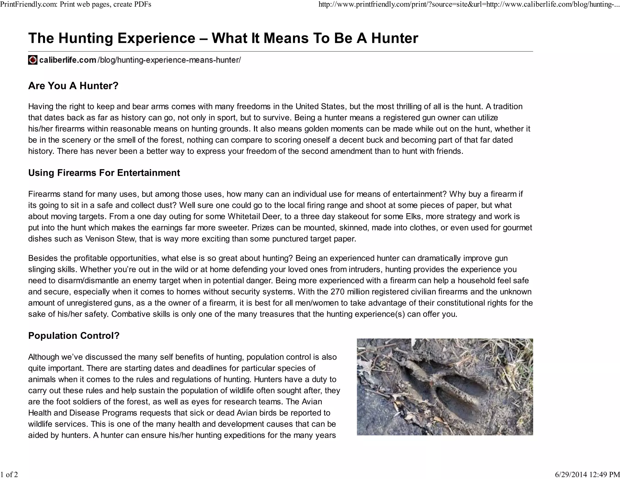 The hunting experience – what it means to be a hunter | PDF