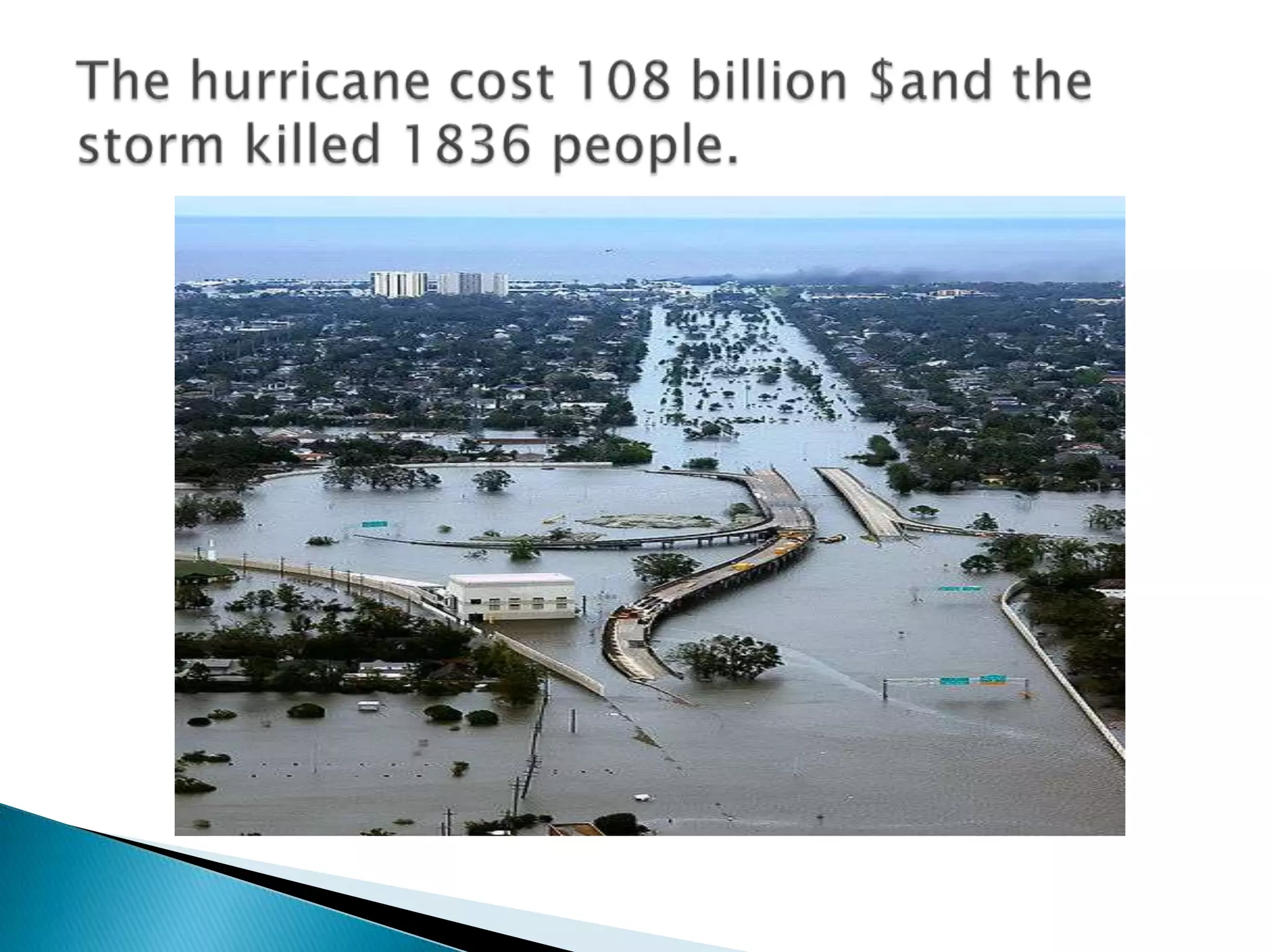 The hurricane katrina | PPTX
