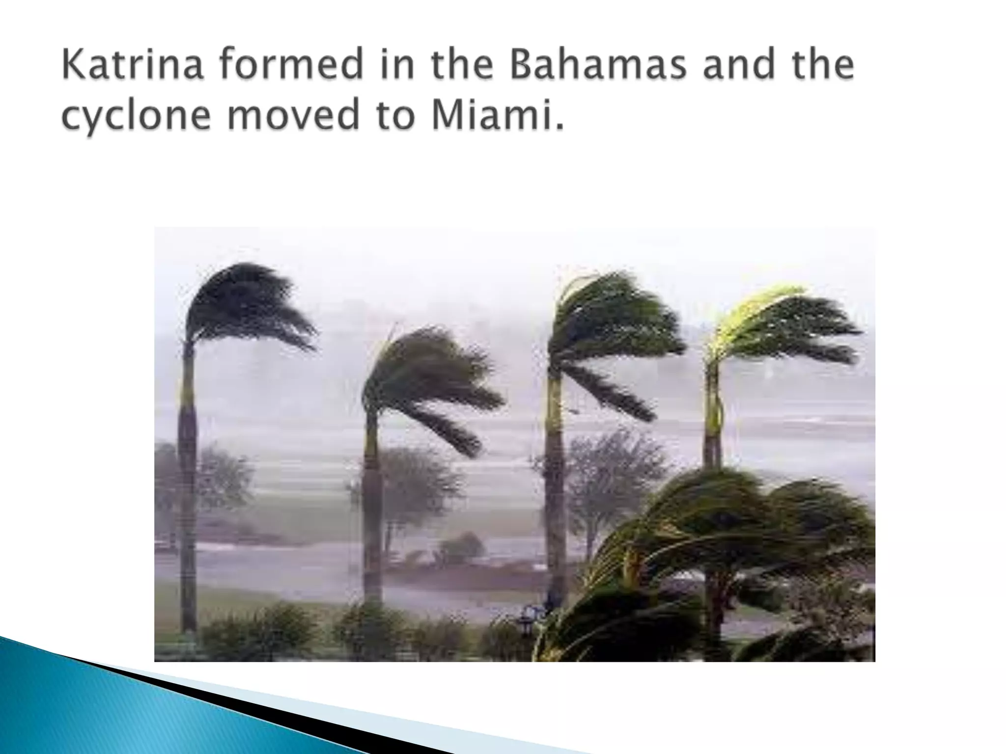 The hurricane katrina | PPTX