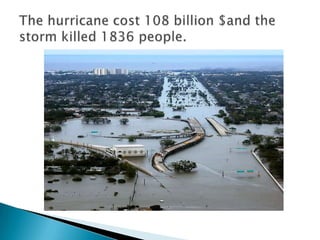 The hurricane katrina | PPTX