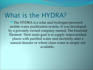 The hydra | PPT