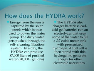 The hydra | PPT