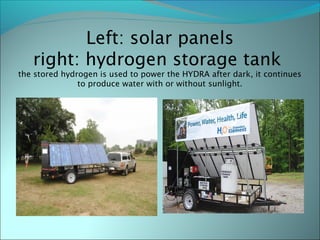 The hydra | PPT
