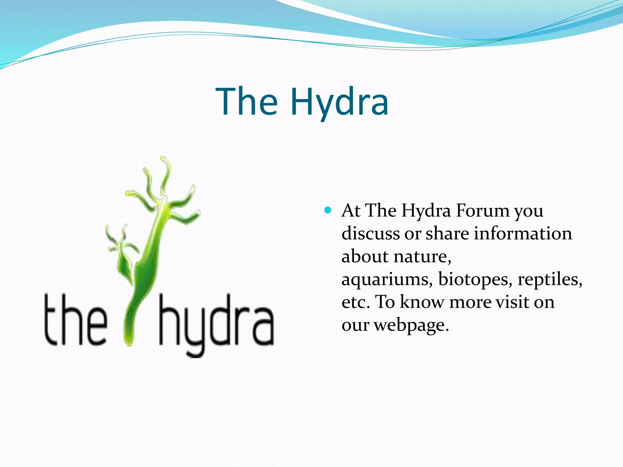 The hydra | PPTX | Zoos & Aquariums | Attractions